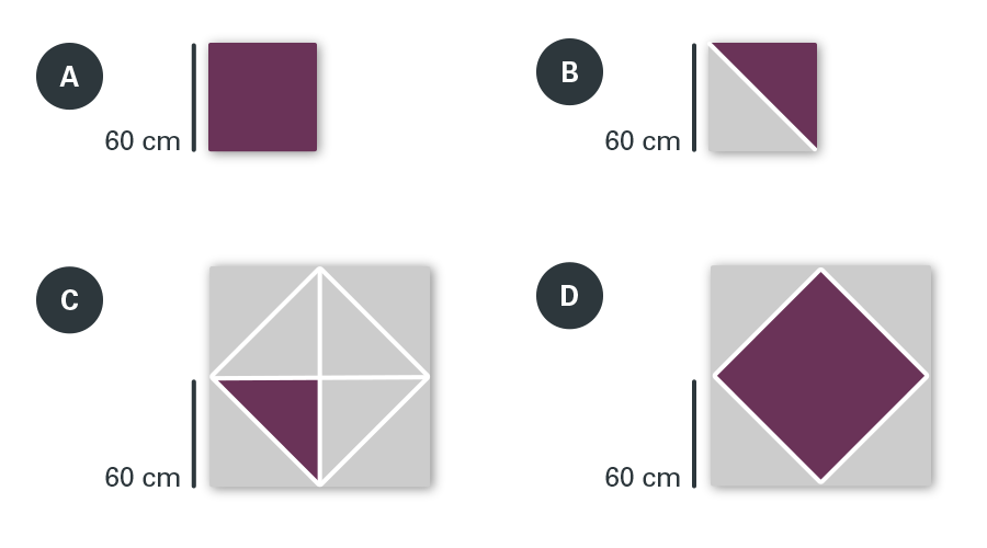Philosophical Roots of Psychology