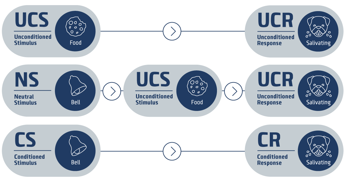 How to find theories and hypothesis