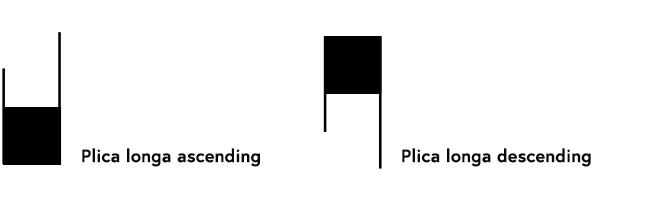 Tales - From Ink to Sound